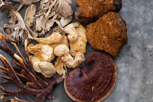 Lets Talk Medicinal Mushrooms (Chaga, Reishi & Lion's Mane) - My